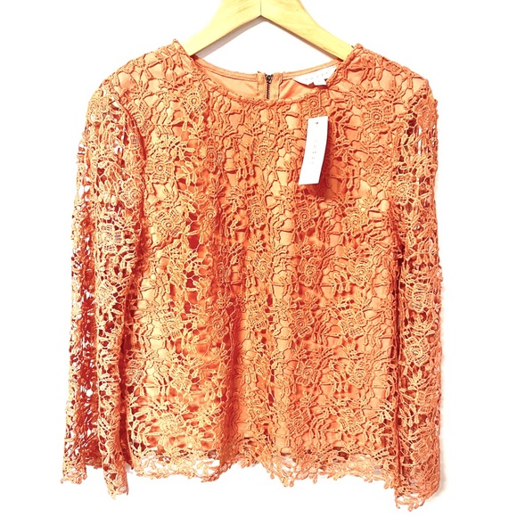 Adiva | Tops | Adiva Intricate Lace Embroidered Top 45d | Poshmark
